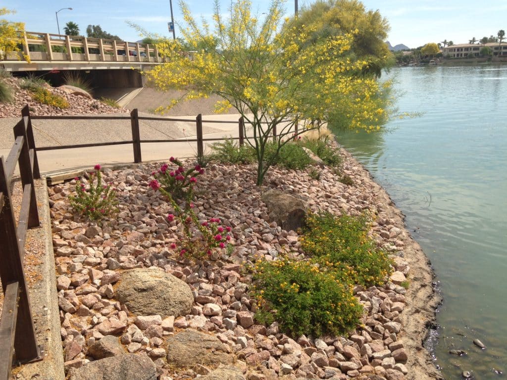 lakeside-gate - Scottsdale Ranch Community Association